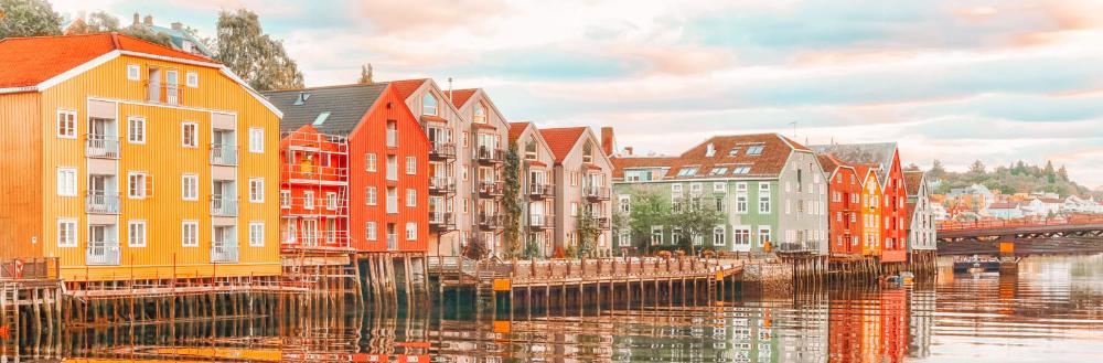 Programs > Office of Global Engagement