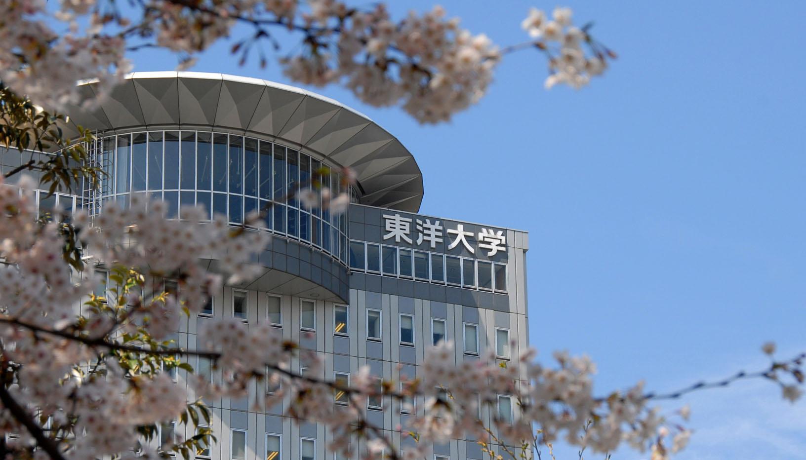 Programs > Office of Global Engagement